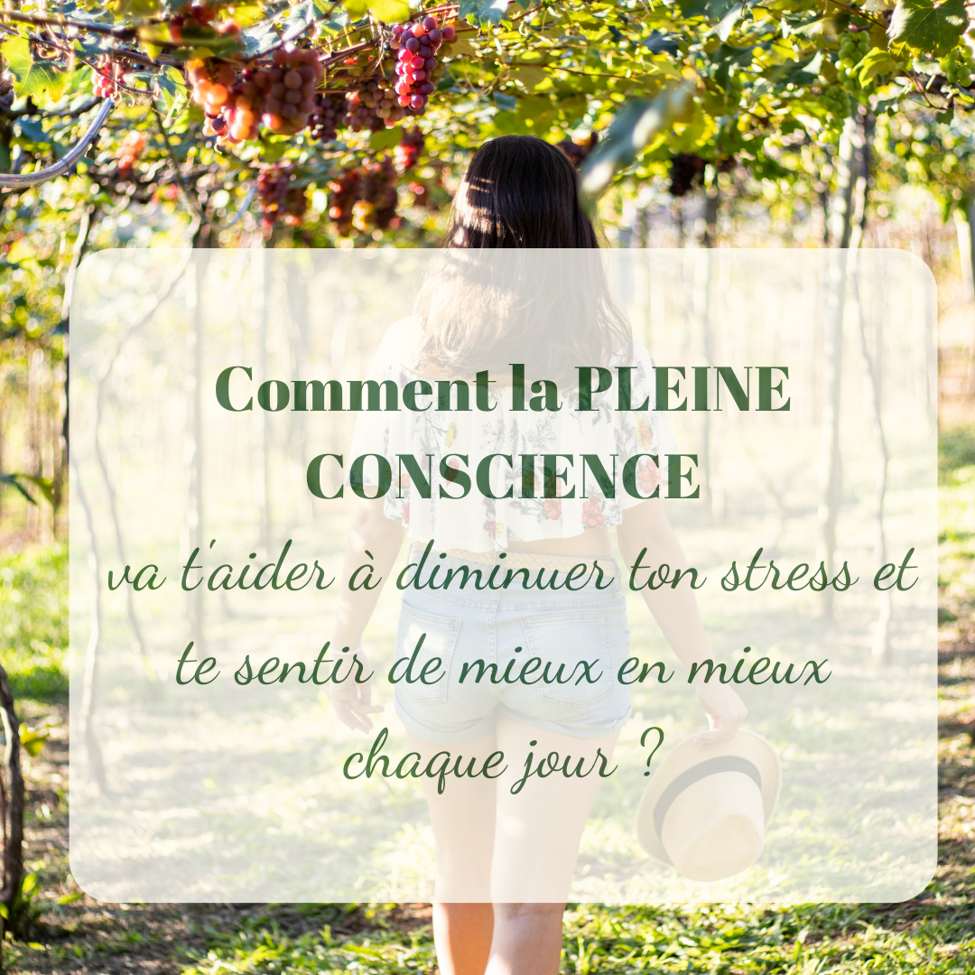 Comment la pleine conscience va t'aider à diminuer ton stress et te ...